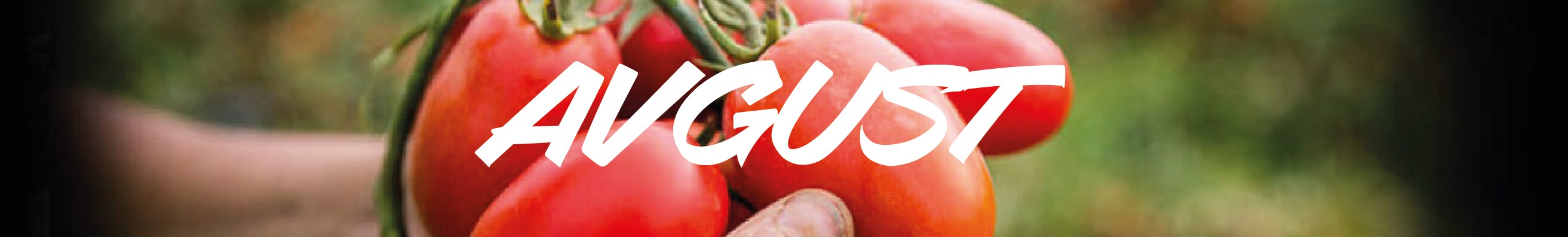 Sezonske sestavine - mesec avgust