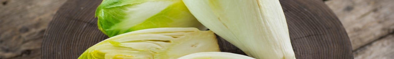 Sezonska sestavina februarja - belgijski radič za vsak okus