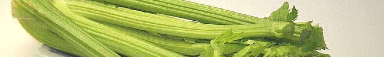 Sezonska sestavina julija - stebelna zelena za vsak krožnik.